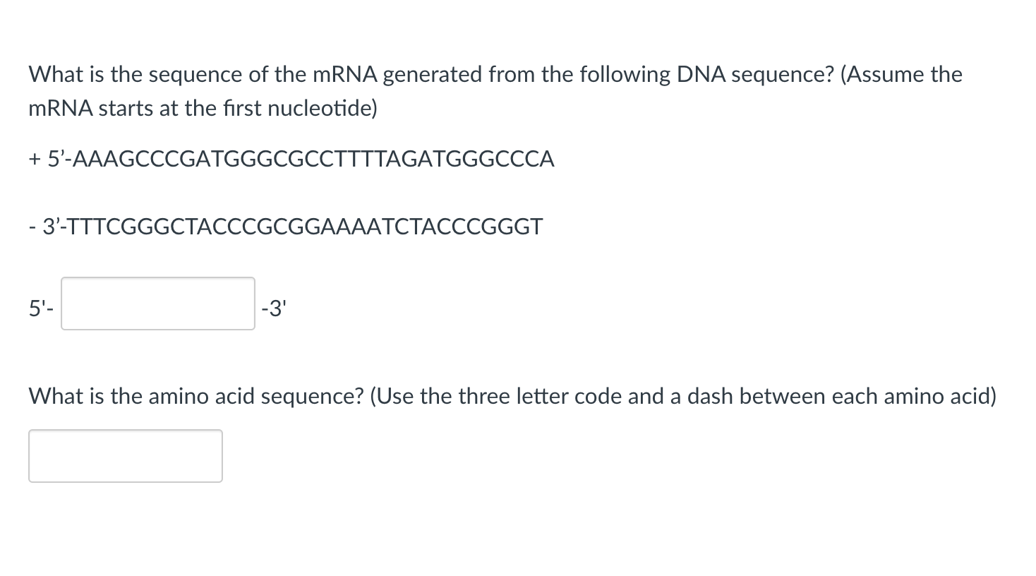 Solved What is the sequence of the mRNA generated from the | Chegg.com