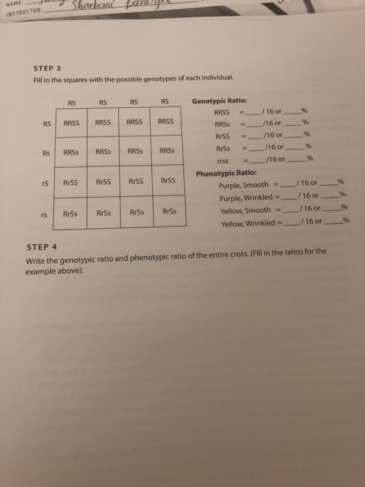 Solved Investigation 2: Patterns of Inheritance - Complete, | Chegg.com