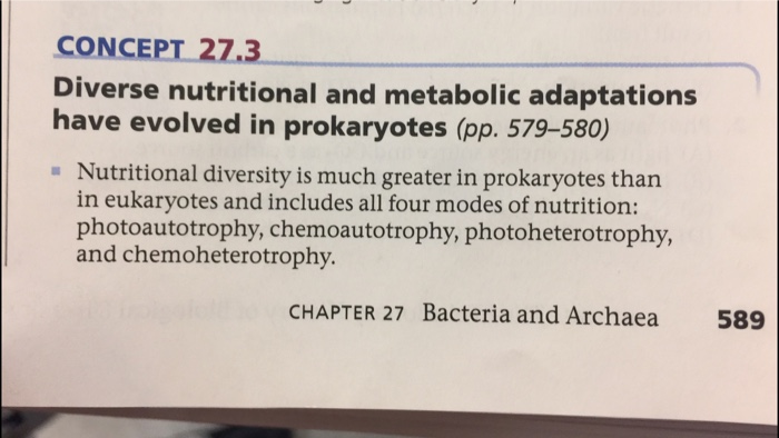 Archaebacteria Nutrition