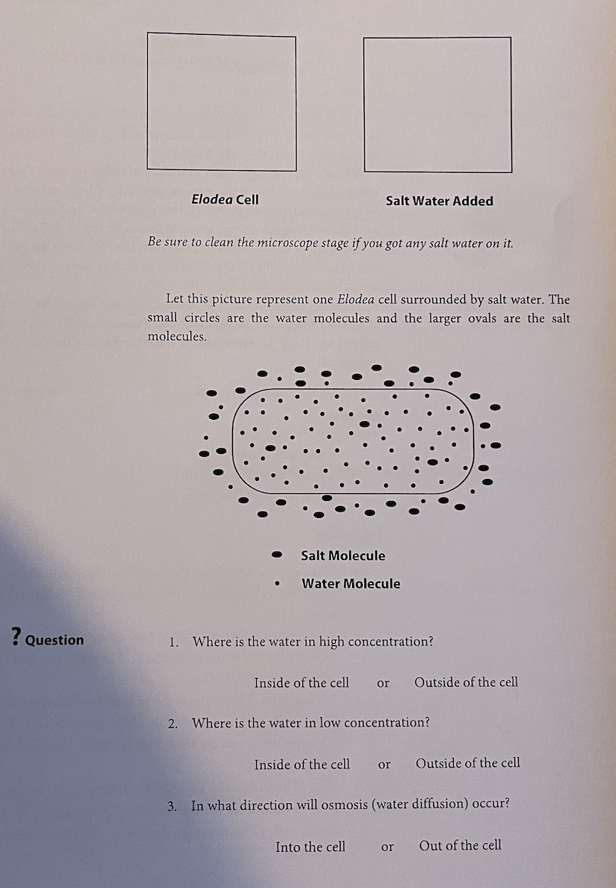 Solved Exercise #4 Diffusion of Water Into and Out of Cells | Chegg.com