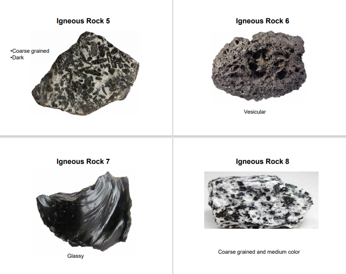 Solved EXERCISE 5.6 Interpreting Igneous Cooling Histories | Chegg.com