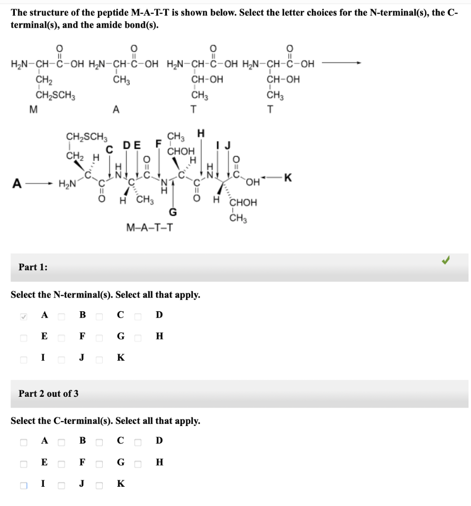 Solved The structure of the peptide M-A-T-T is shown below. | Chegg.com