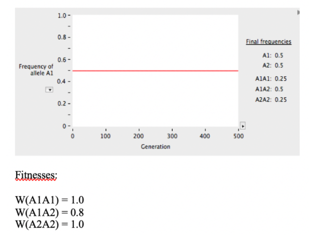 Solved The following graph shows the allele frequencies over | Chegg.com