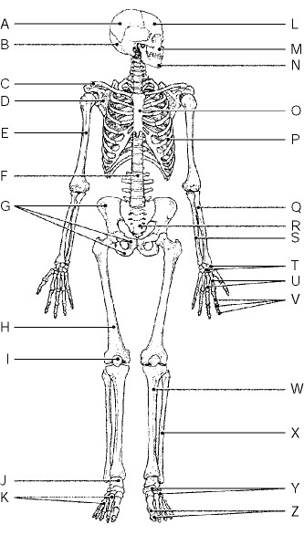 Solved LABEL | Chegg.com