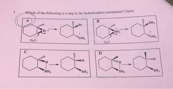 Solved which of the following is a step in the hydroboration | Chegg.com