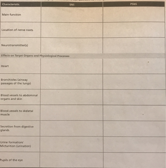 Solved Characteristic SNS PSNS Main function Location of | Chegg.com