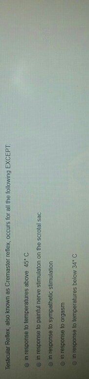 Solved Testicular Reflex, also known as Cremaster reflex, | Chegg.com