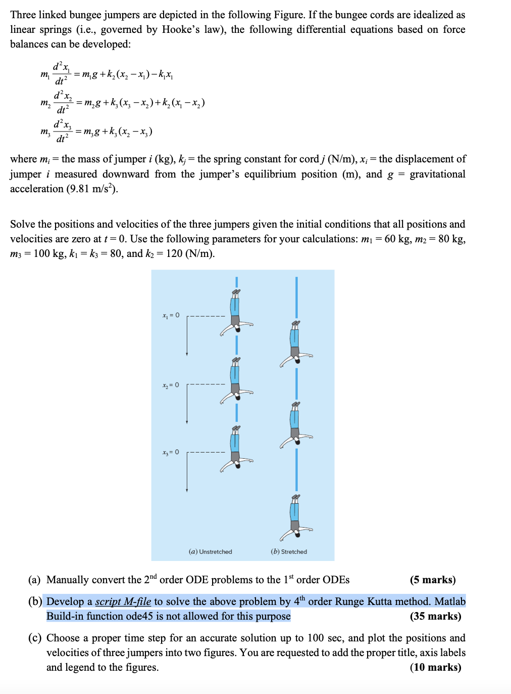 Solved Three linked bungee jumpers are depicted in the | Chegg.com