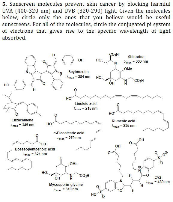 Solved 5. Sunscreen molecules prevent skin cancer by | Chegg.com