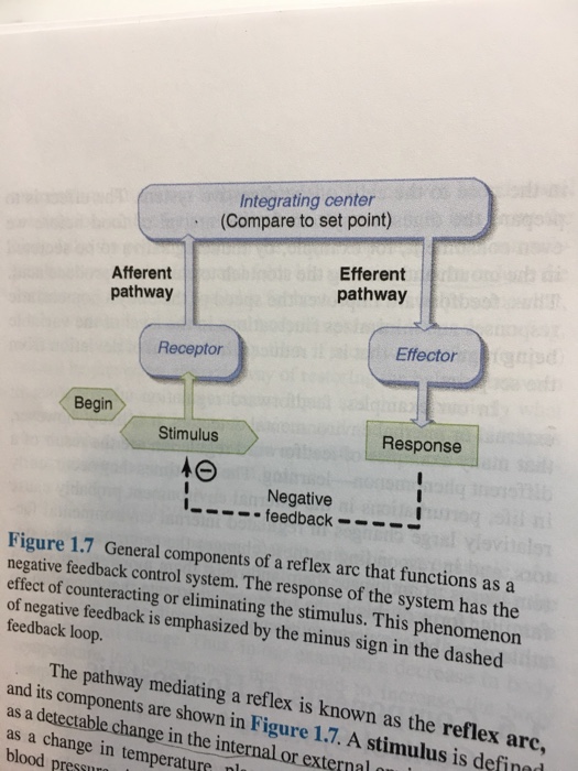 Solved General components of a reflex arc that functions | Chegg.com