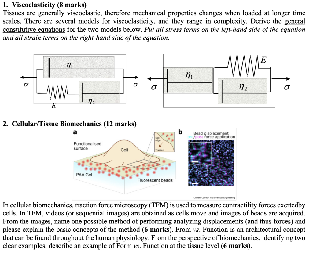 Solved 1. Viscoelasticity (8 marks) Tissues are generally | Chegg.com