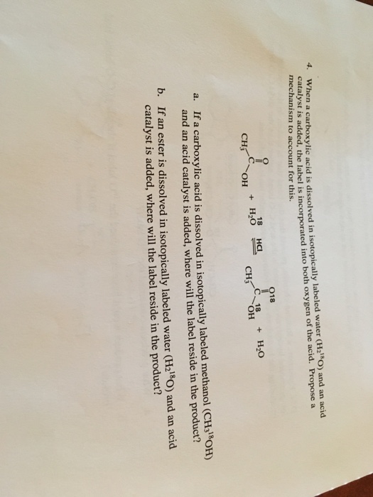 Solved catalyst is added, the label is incorporated into | Chegg.com