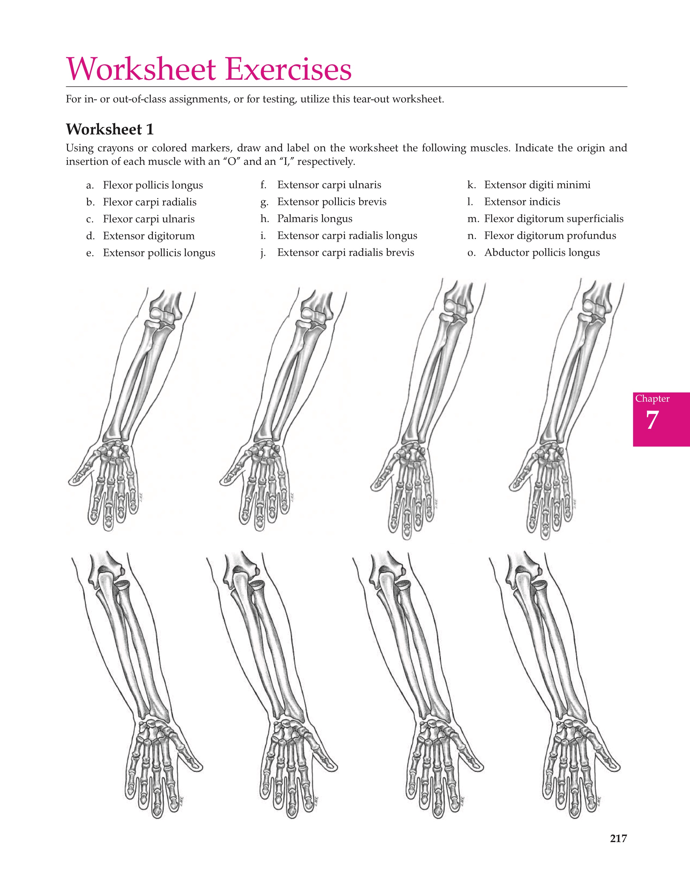 Worksheet 2 Label and indicate with arrows the | Chegg.com