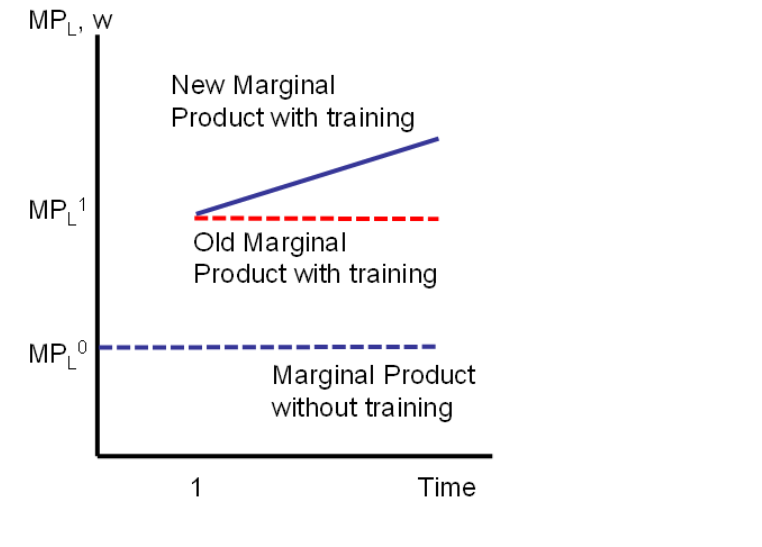 Solved The marginal products with and without training are | Chegg.com