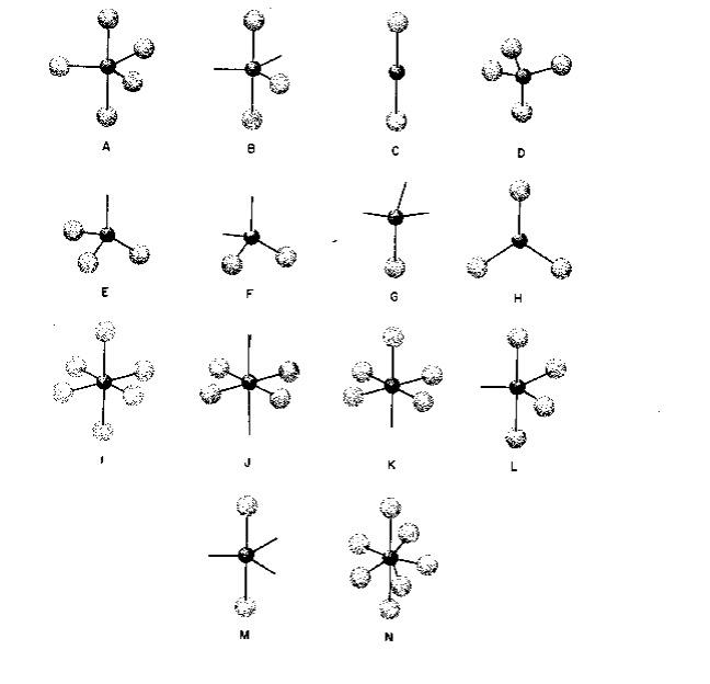 Solved မှမ e - G K M N Possible Shapes 1. linear 7. seesaw | Chegg.com