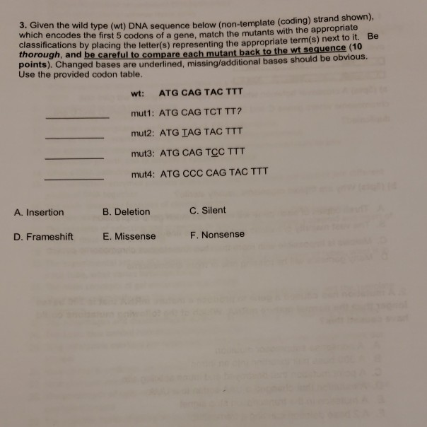 Solved a. Given the wild type (we) DNA sequence below | Chegg.com