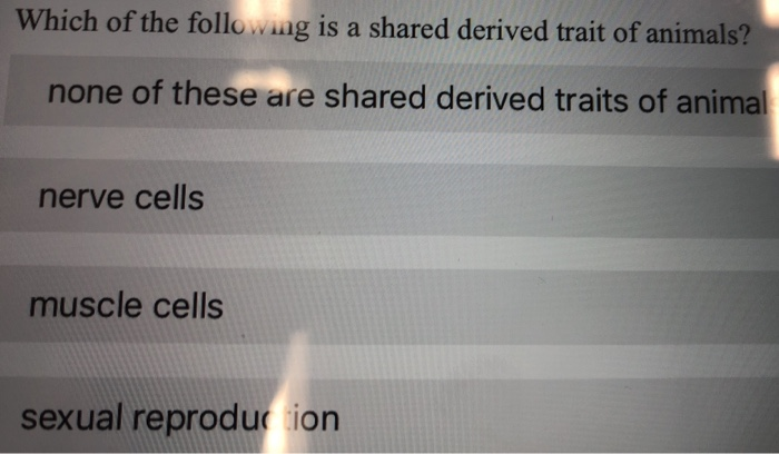 Solved Which of the following is a shared derived trait of | Chegg.com
