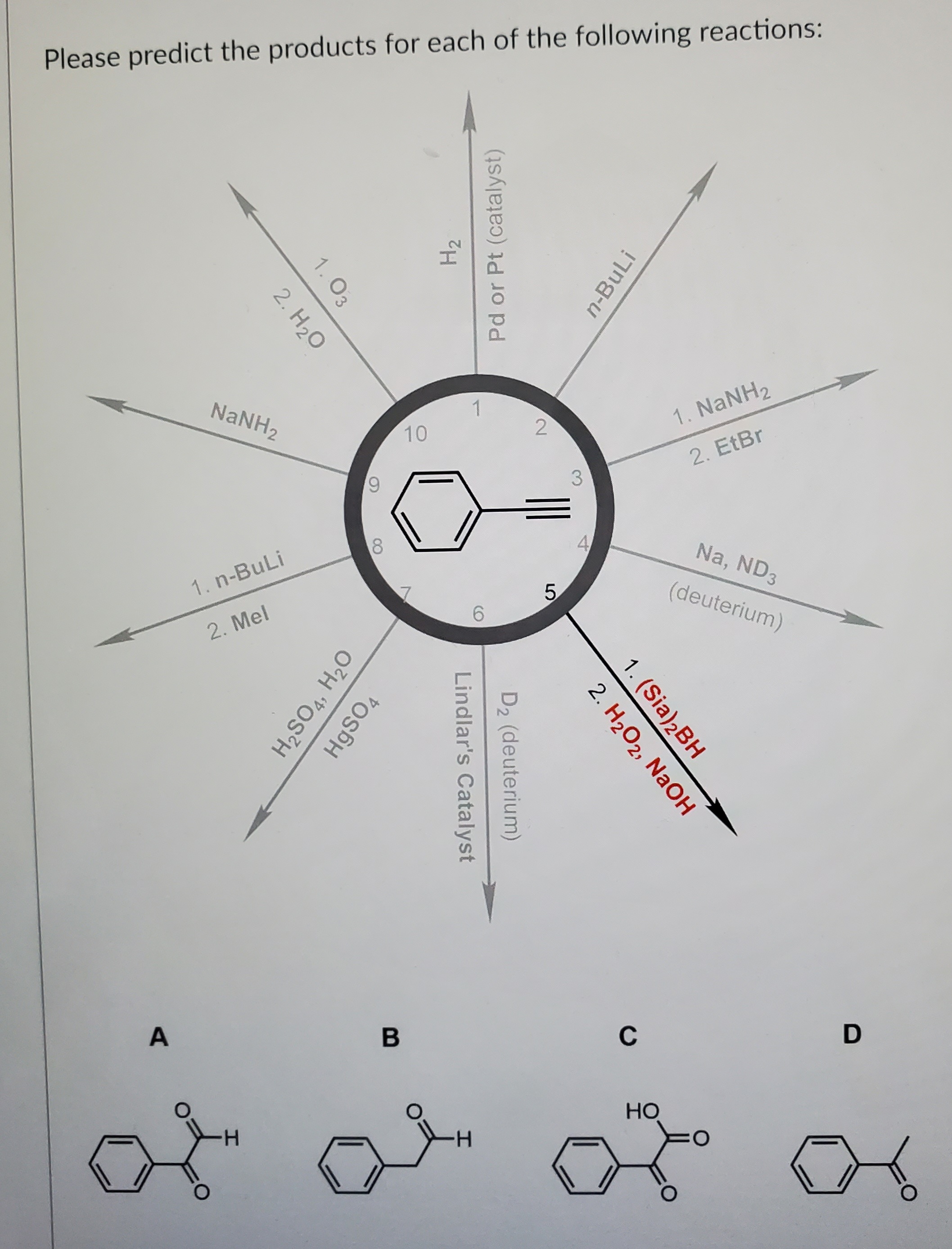 Solved Please Predict The Products For Each Of The Following