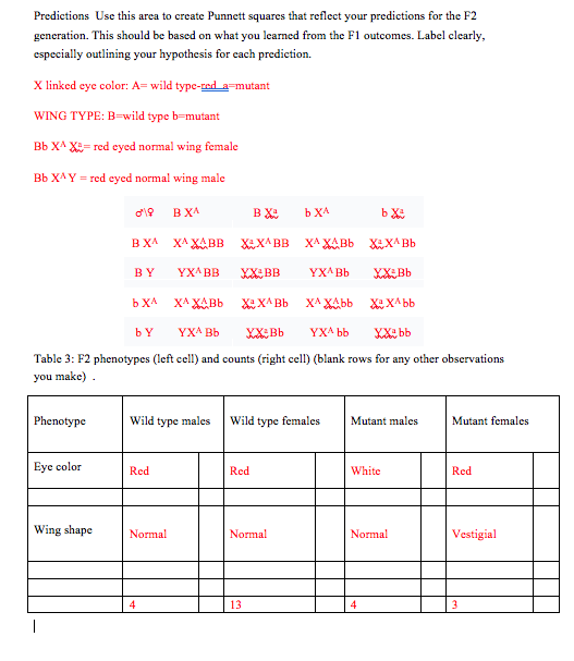 Solved DROSOPHILA-LAB For your notebook-Results Identify the | Chegg.com