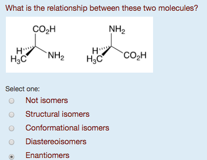 Solved What is the relationship between these two molecules? | Chegg.com