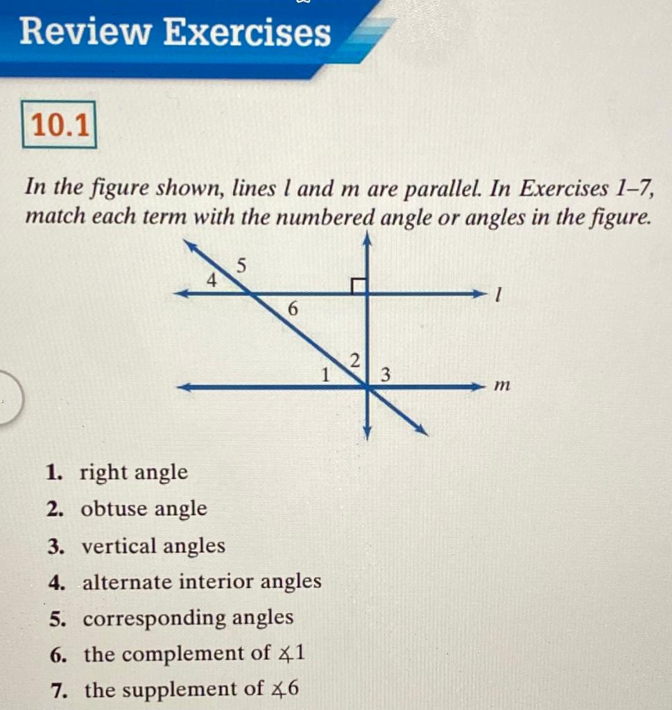 Solved lines l and m are parallel. put each term with the | Chegg.com