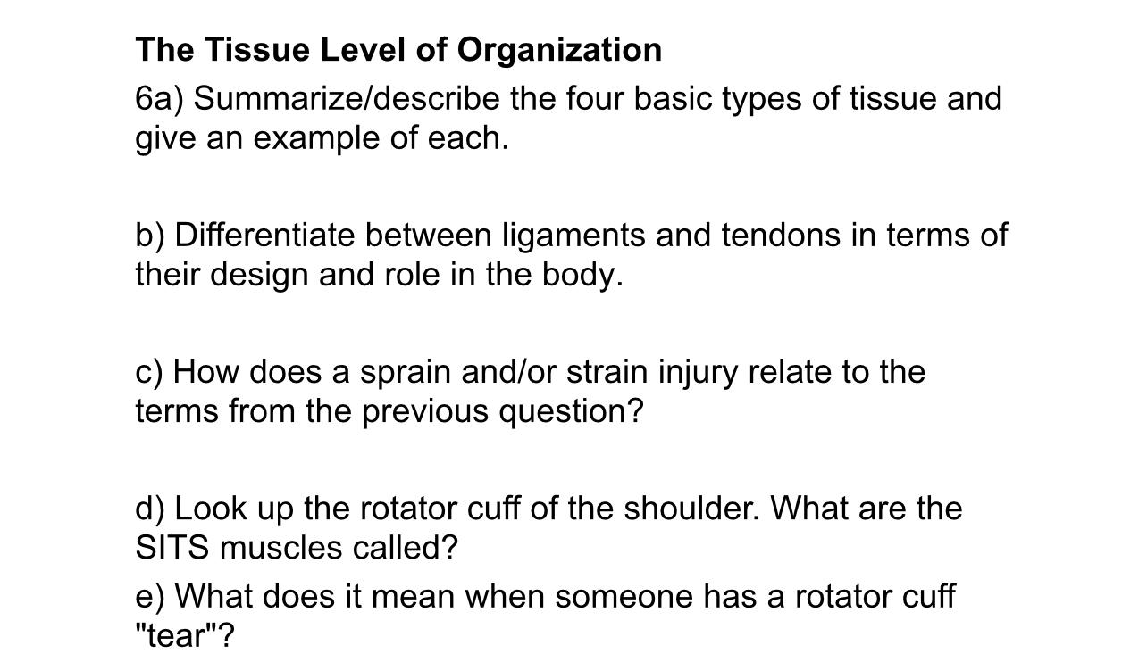 Solved The Tissue Level of Organization 6a) | Chegg.com