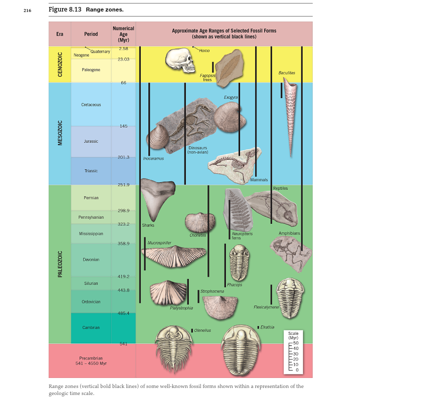 Index Fossil Chart