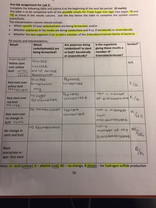 Solved Pre-lab assignment for Lab 5 Complete the following | Chegg.com