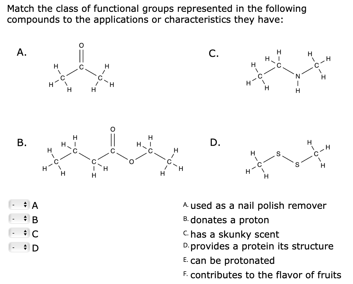 Solved Match the class of functional groups represented in | Chegg.com