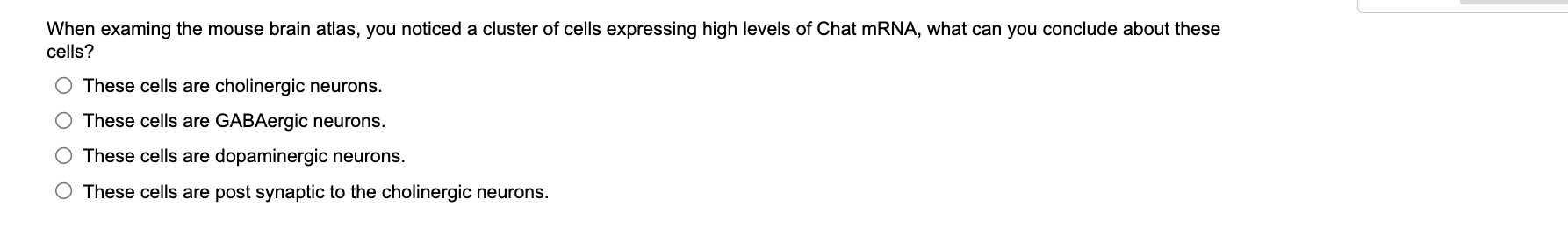 Solved When examing the mouse brain atlas, you noticed a | Chegg.com