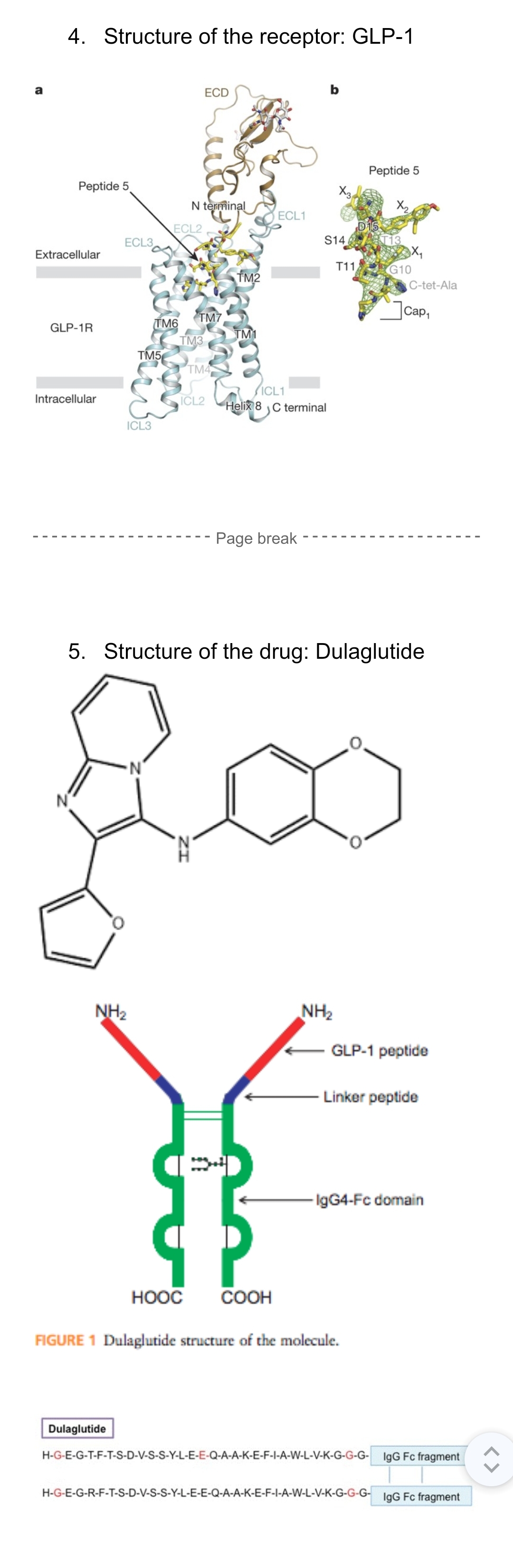 please explain in full detail the Binding of | Chegg.com