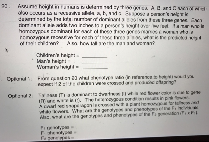 Solved Assume height in humans is determined by three genes. | Chegg.com