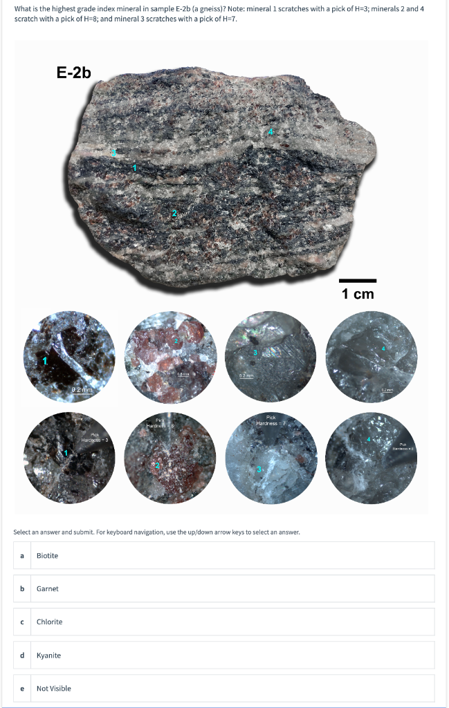 Solved Identify the highest-grade index mineral in this | Chegg.com