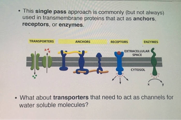 Solved This single pass approach is commonly (but not | Chegg.com
