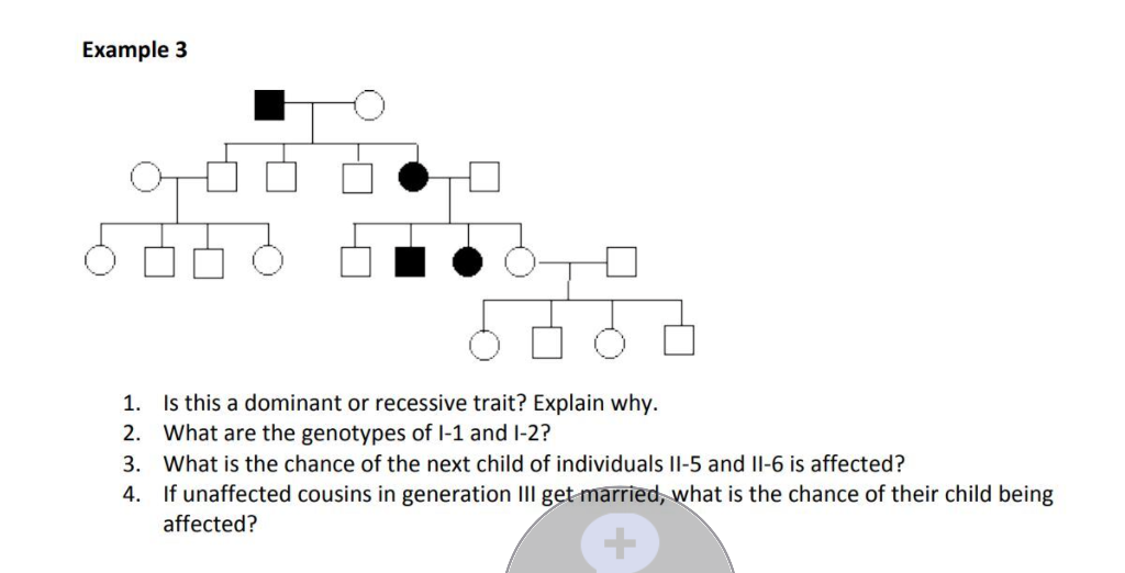 Solved Example 3 1. Is this a dominant or recessive trait? | Chegg.com