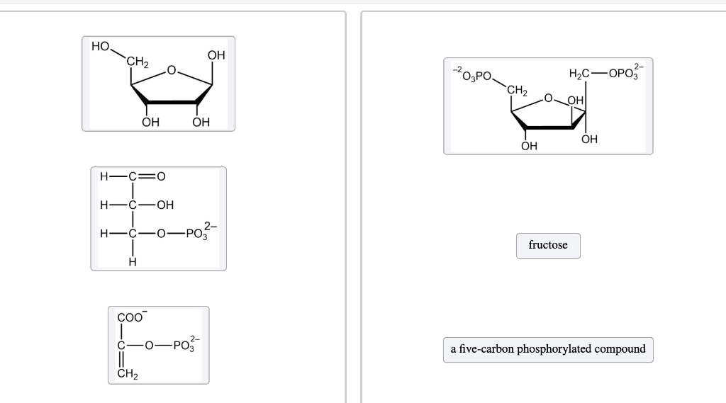 Solved Identify each given example as describing either a | Chegg.com