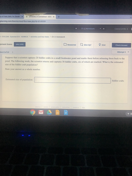 Solved University of Connectiout EEB2 X0 yof Class Data For | Chegg.com