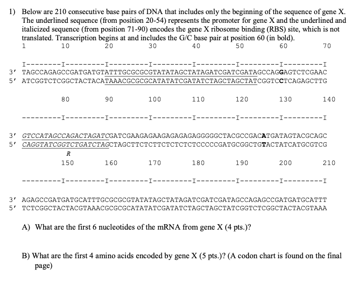 Solved 1) Below are 210 consecutive base pairs of DNA that | Chegg.com
