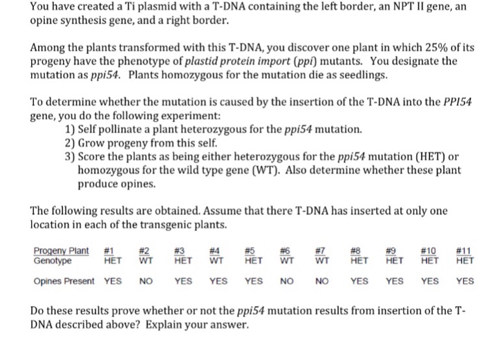 Solved You have created a Ti plasmid with a T-DNA containing | Chegg.com