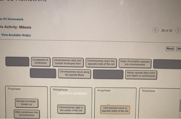 Solved er 03 Homework ix Activity: Mitosis View Available | Chegg.com