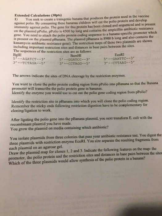 Solved Extended Calculations (30pts) 1) Y ou seek to create | Chegg.com