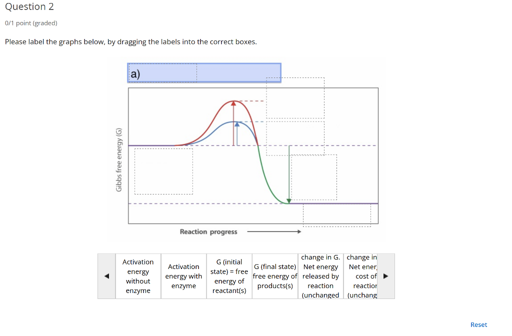 Solved Please label the graphs below, by dragging the labels | Chegg.com
