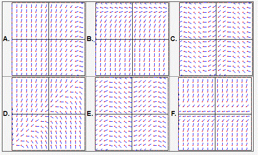 Solved (1 point) Match the slope fields shown below with | Chegg.com