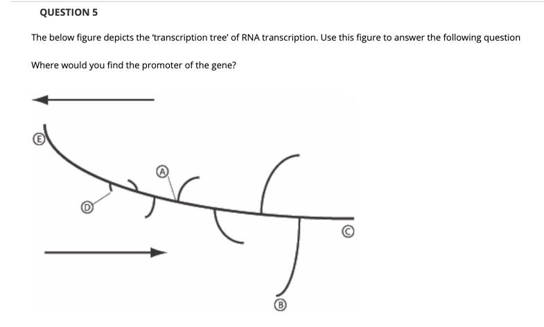 Solved QUESTION 5 The below figure depicts the | Chegg.com
