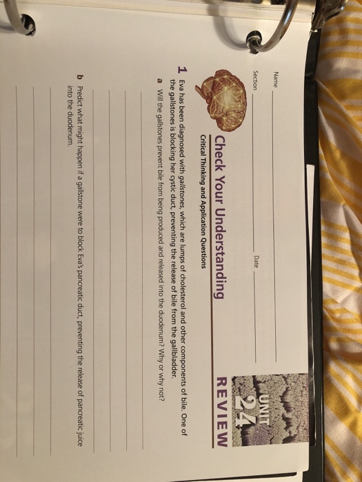 Solved Name UNIT. Section Date REVIEW Check Your | Chegg.com