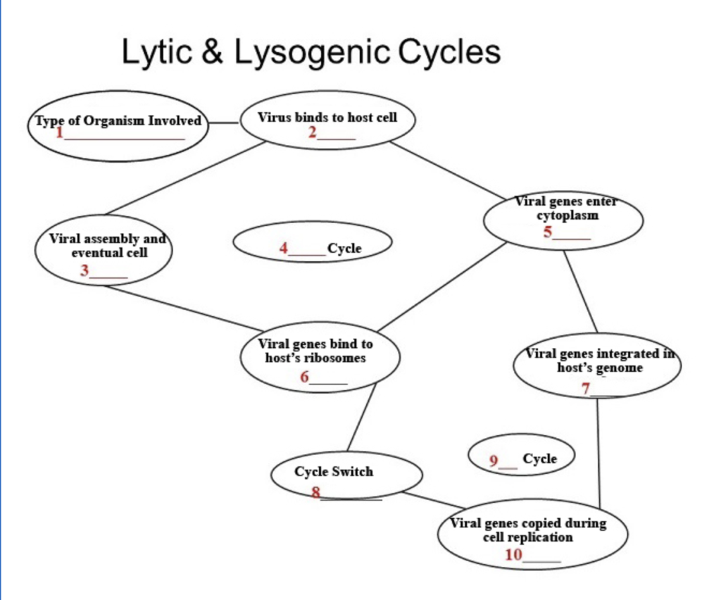 Solved Lytic Formation of | Chegg.com