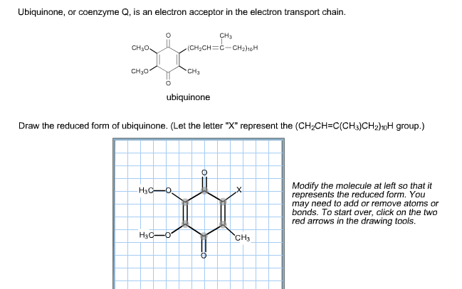 Solved Ubiquinone, or coenzyme Q, is an electron acceptor in | Chegg.com