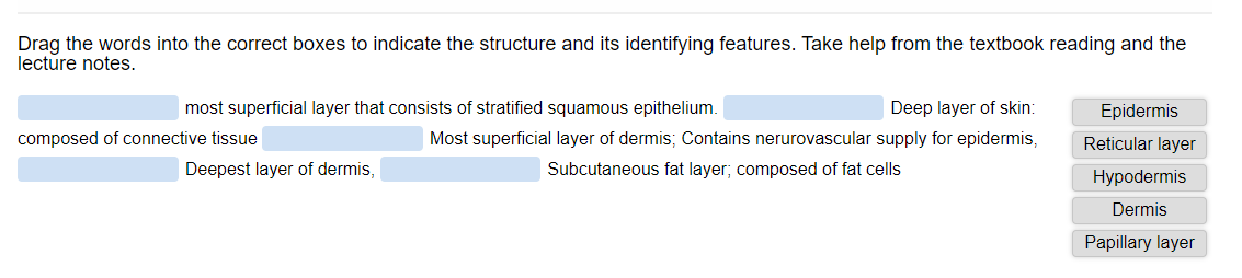 Solved Drag the words into the correct boxes to indicate the | Chegg.com