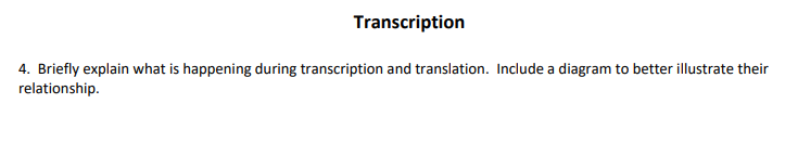 Solved Transcription 4. Briefly explain what is happening | Chegg.com Solved Transcription 4. Briefly explain what is happening | Chegg.com