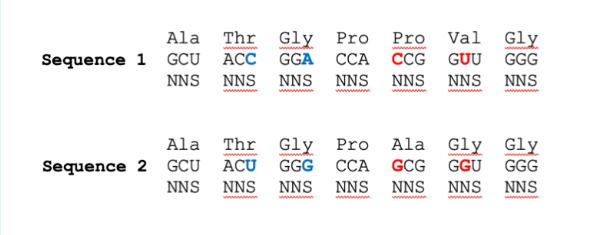 Solved The image below shows 2 ﻿protein-coding sequences | Chegg.com